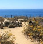 Point Vicente Interpretive Center - Palos Verdes/ Rancho Palos Verdes Event Venue